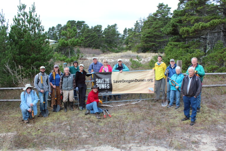 Scotch Broom Removal at Heceta Dunes - Saturday, July 26 - A Power of ...